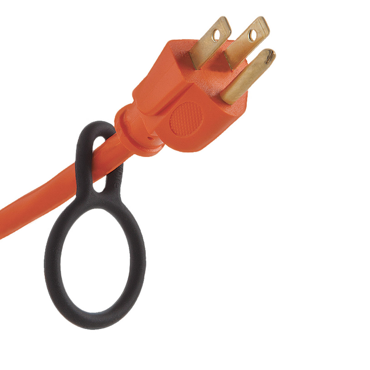 Binditz Original – UT WIRE